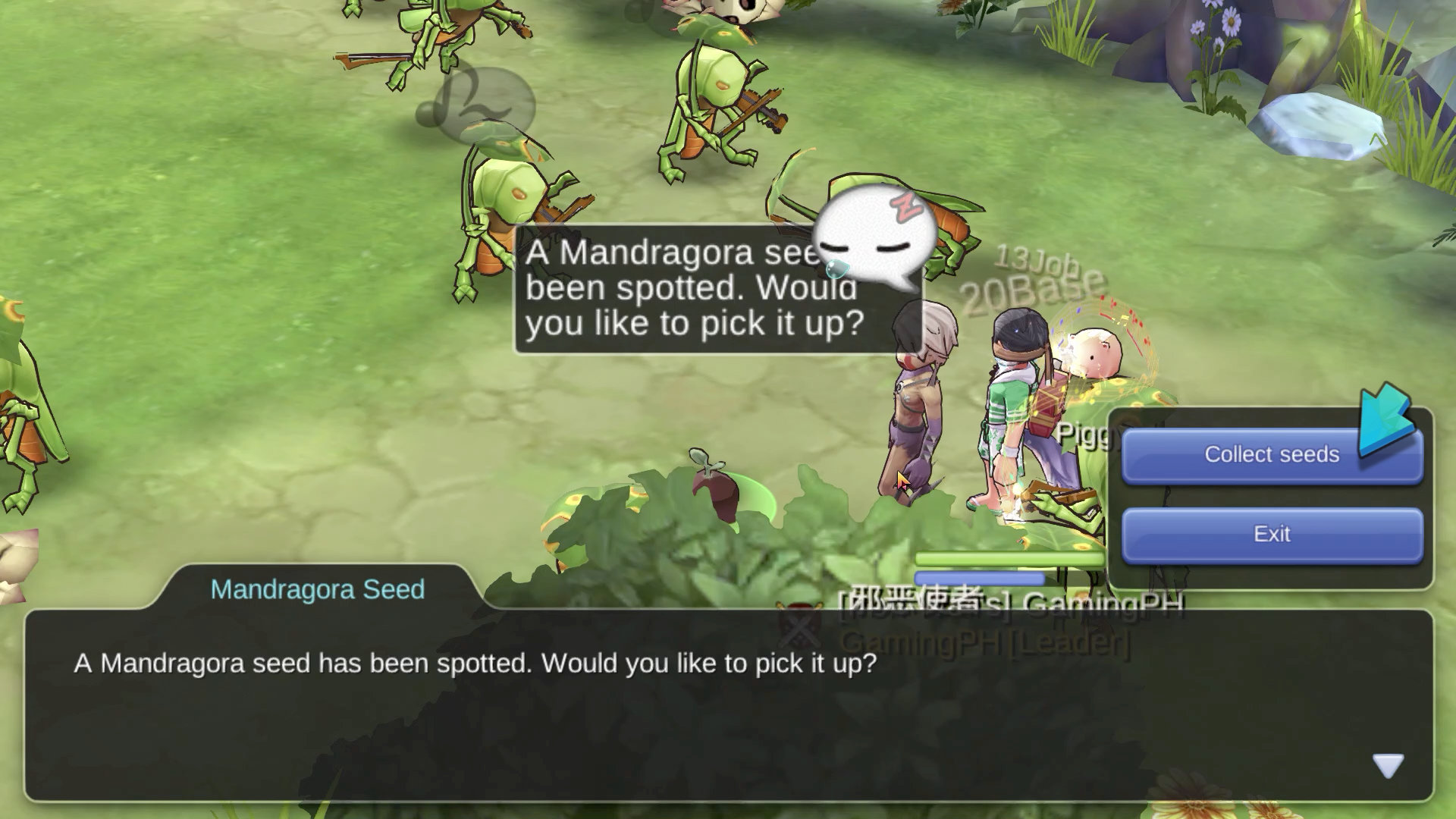 How to Catch Mandragora Seed in Ragnarok M Eternal Love – GamingPH.com